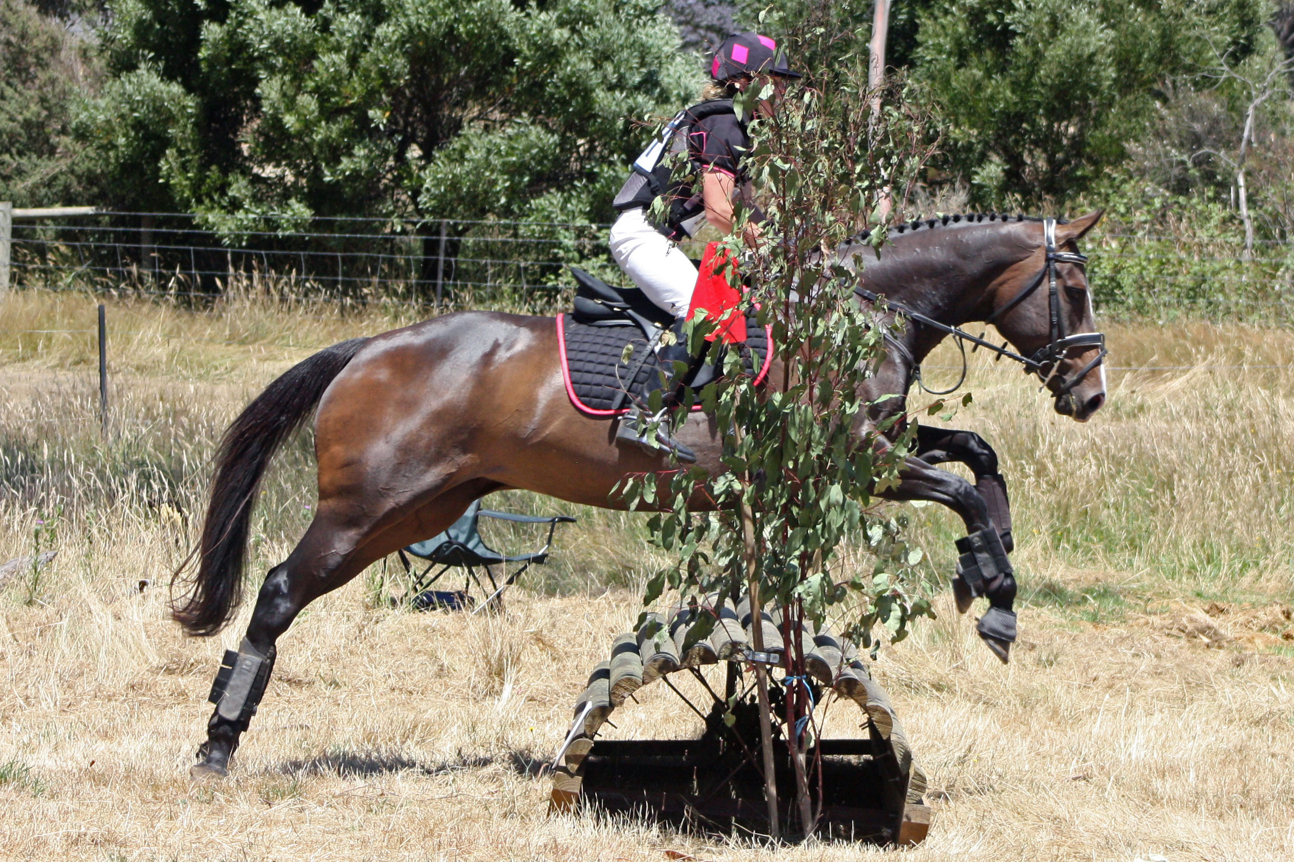 Photo Gallery | Eventing Tasmania