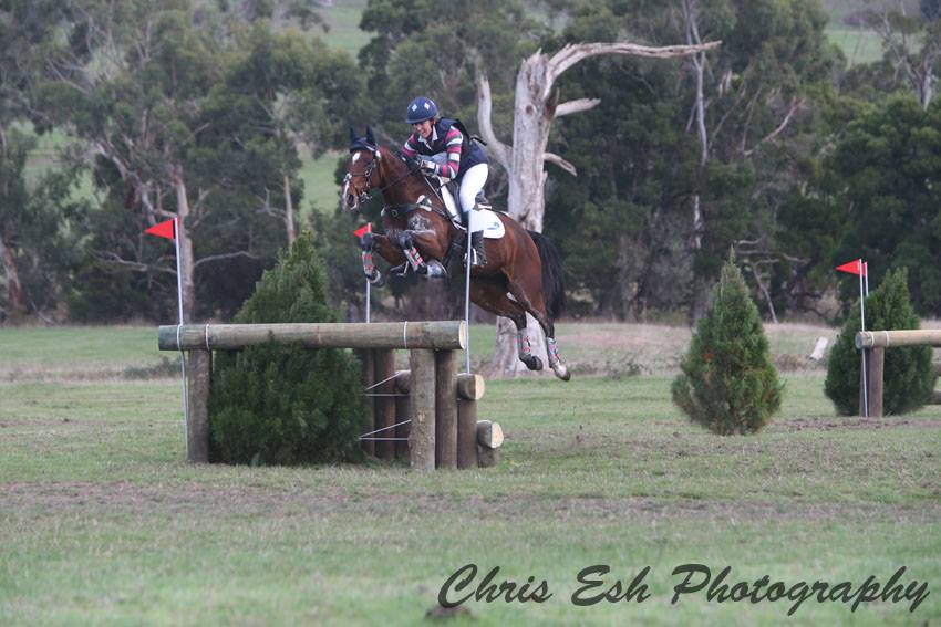 Tasmanian riders competing nationally | Equestrian Tasmania