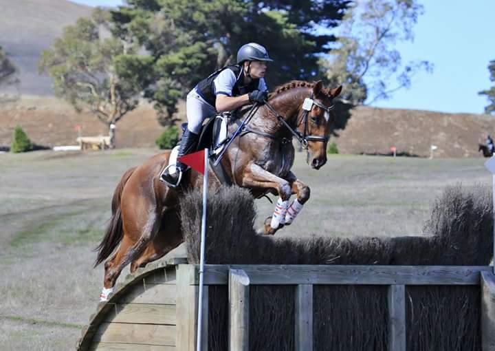 Tasmanian riders competing nationally | Equestrian Tasmania